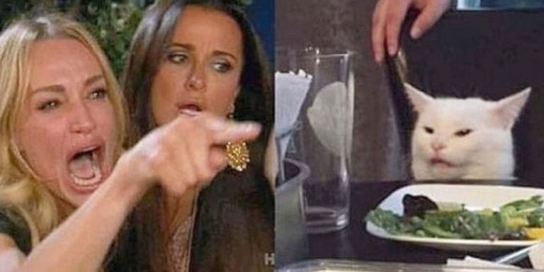 ¿De dónde salió el meme del gato?