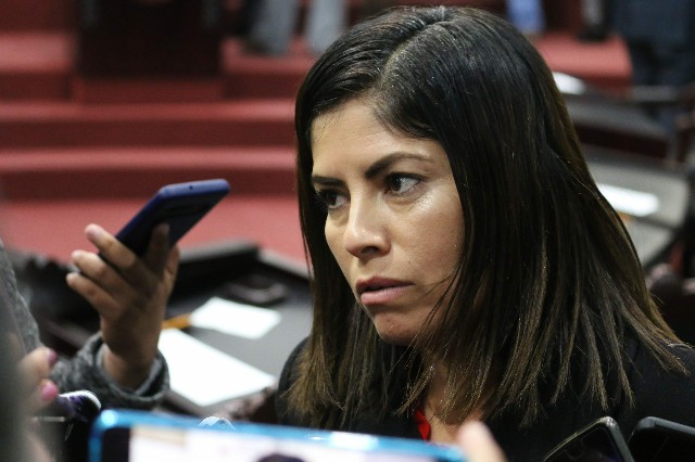 Propone diputada que Congreso elija al director estatal del agua