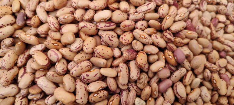Se desploman ventas de frijol por aumentos