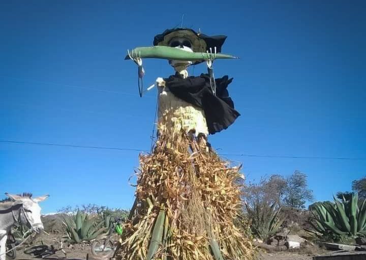 Regresa el Festival de la Flor a Doxey, en Tlaxcoapan