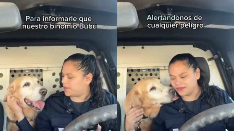 Bubu, perro policía de Hermosillo, se jubila tras nueve años
