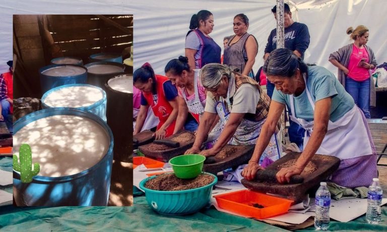 ¿Conoces la Feria del charape? Una fiesta donde reina la “bebida de los ...
