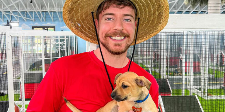 El influencer MrBeast rescata a 100 perritos y les consigue hogar