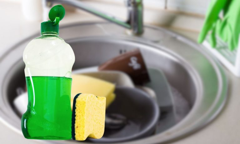 Ni Salvo se salvó, éste es el mejor lavatrastes según Profeco