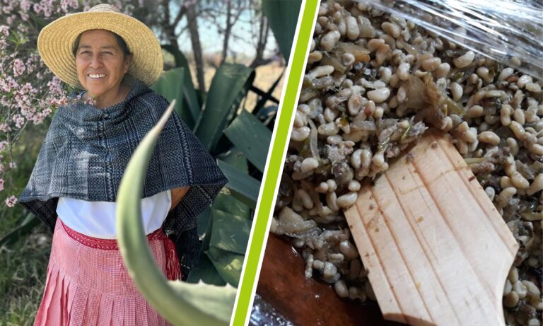 ¡Reserva tu agenda! El 3er Festival del Escamol llega a Santiago de Anaya