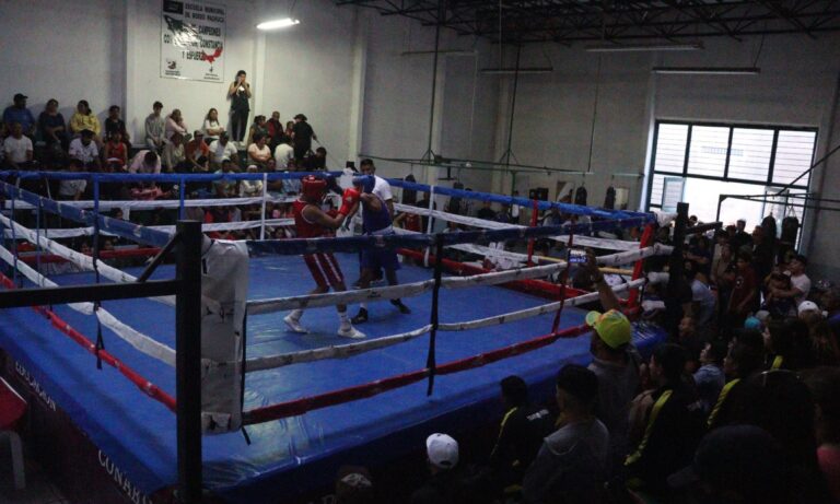 Concluye selectivo estatal de boxeo: 22 campeones listos para el ...