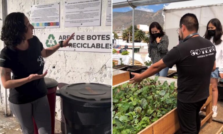 Conoce el proyecto Sotero Sostenible