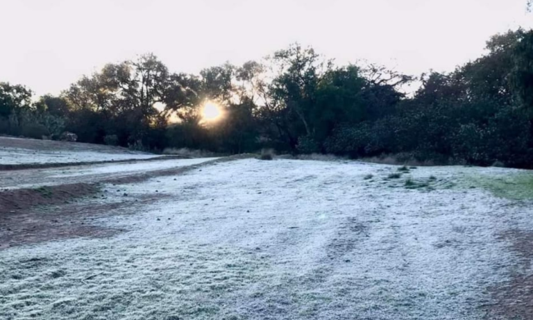 Clima helado en estados de México para este fin de año: te decimos cómo ...