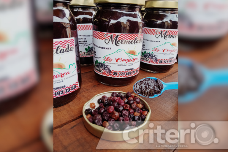 ¿Te imaginas un licor de cahuiche? Descubre esta fruta de Omitlán y el ...