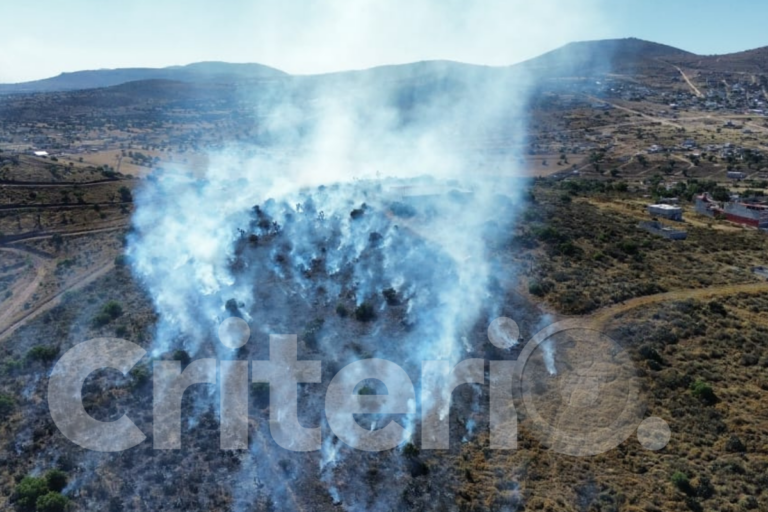 Afectación en Hidalgo de 4 mil hectáreas por incendios