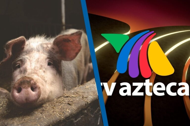 TV Azteca busca hacerle la competencia a La Casa de los Famosos y lanza ...