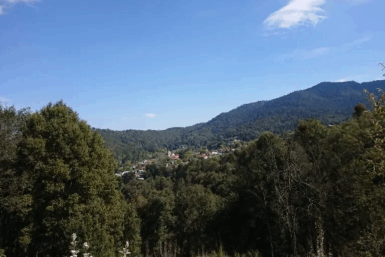 ¿Qué avances destacó la Semarnath durante su comparecencia?