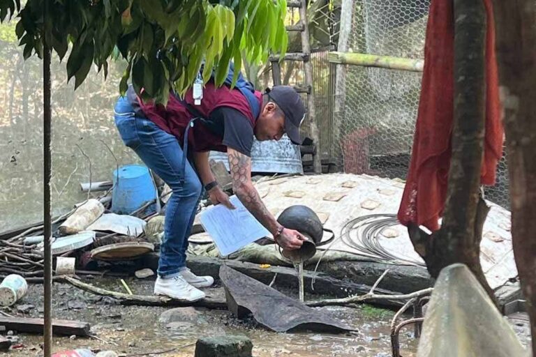 ¿Cuántos casos de dengue registró Hidalgo en 2025?