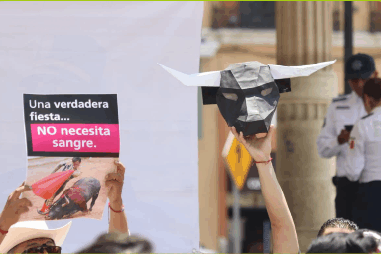 “Una verdadera fiesta no necesita sangre”: marchan en Pachuca contra la ...